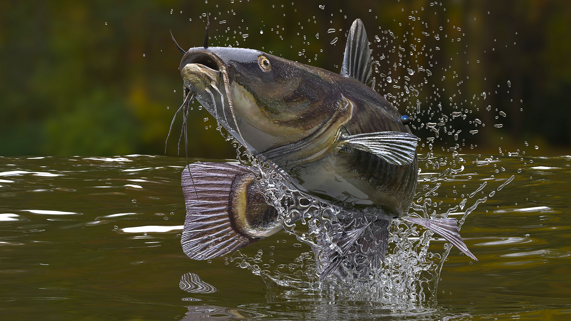 Aquaculture | America's Heartland