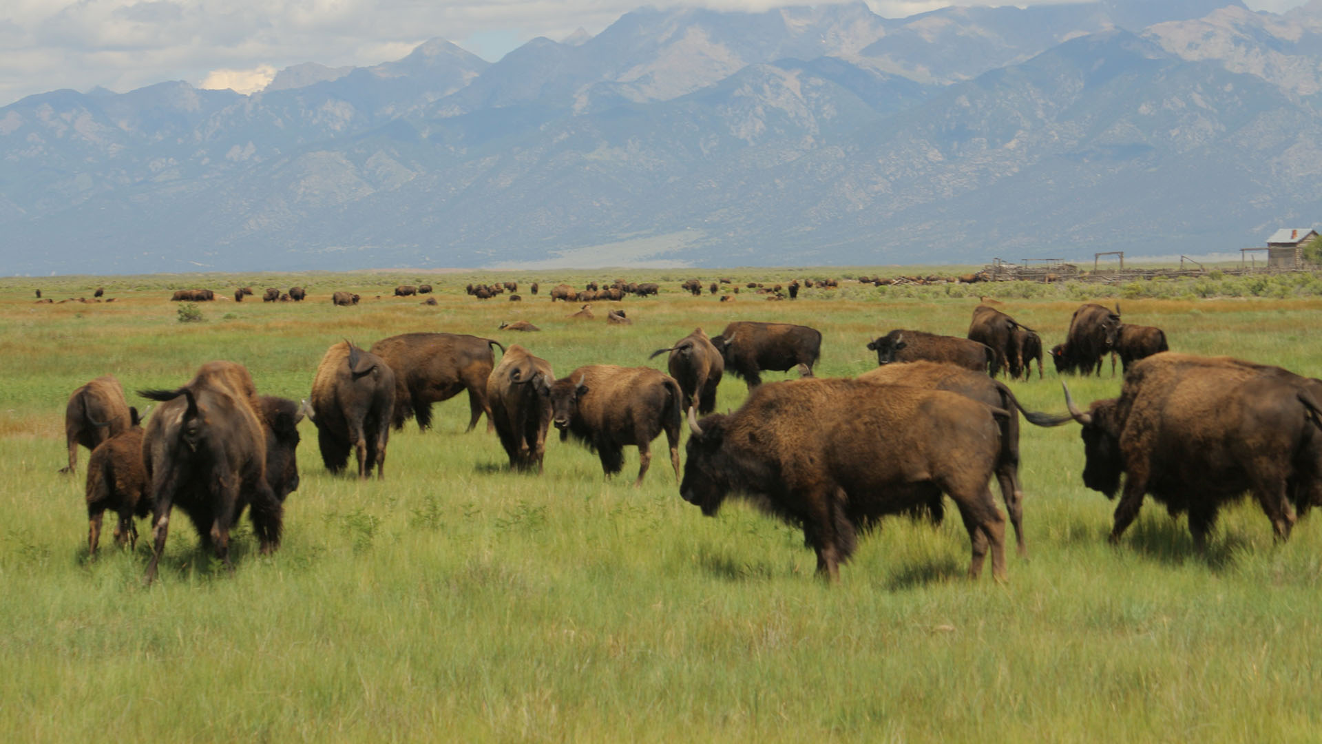 Colorado | America's Heartland