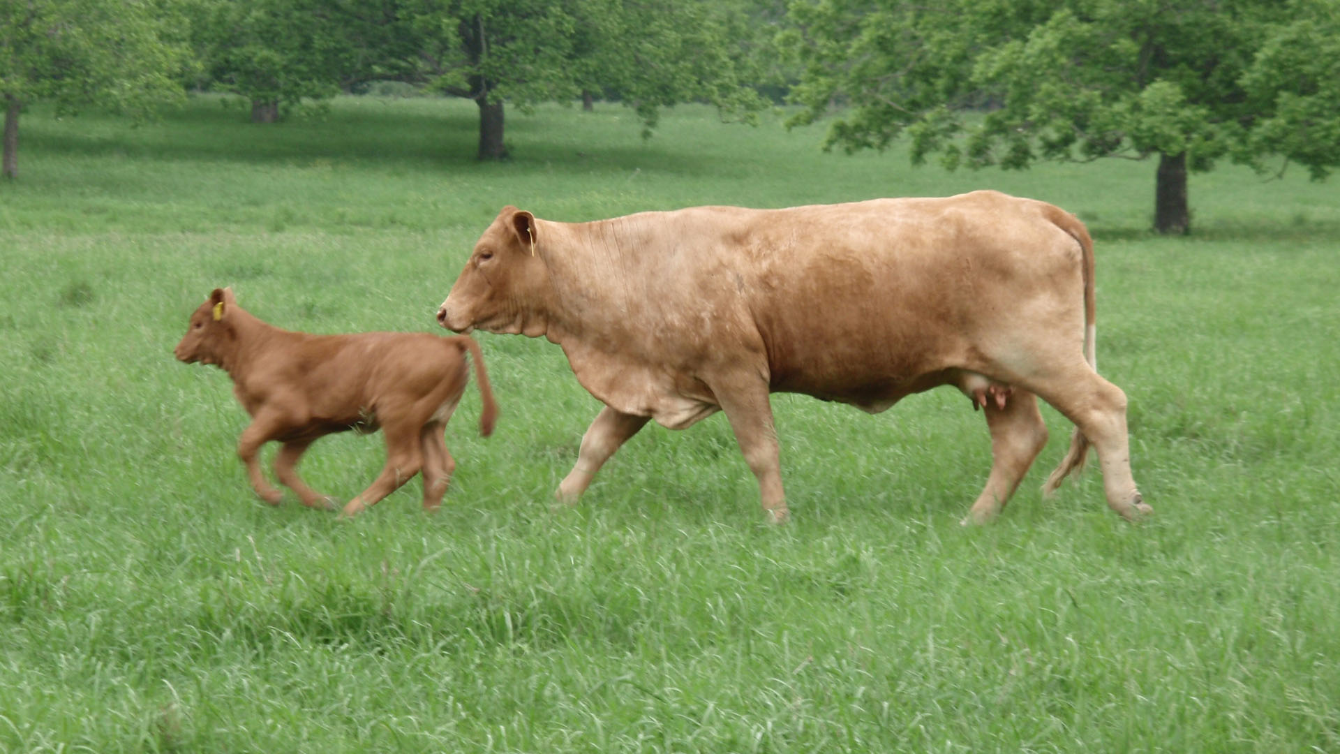 Education | America's Heartland