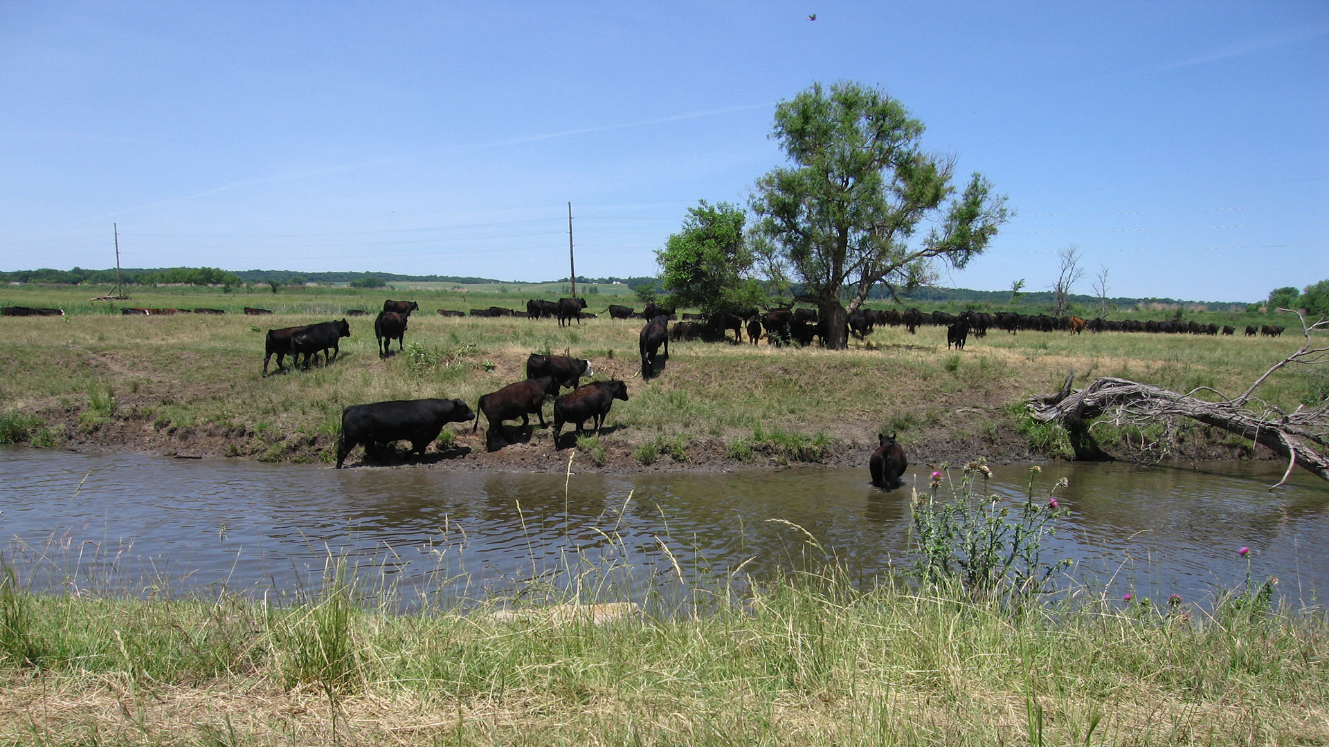 Iowa | America's Heartland