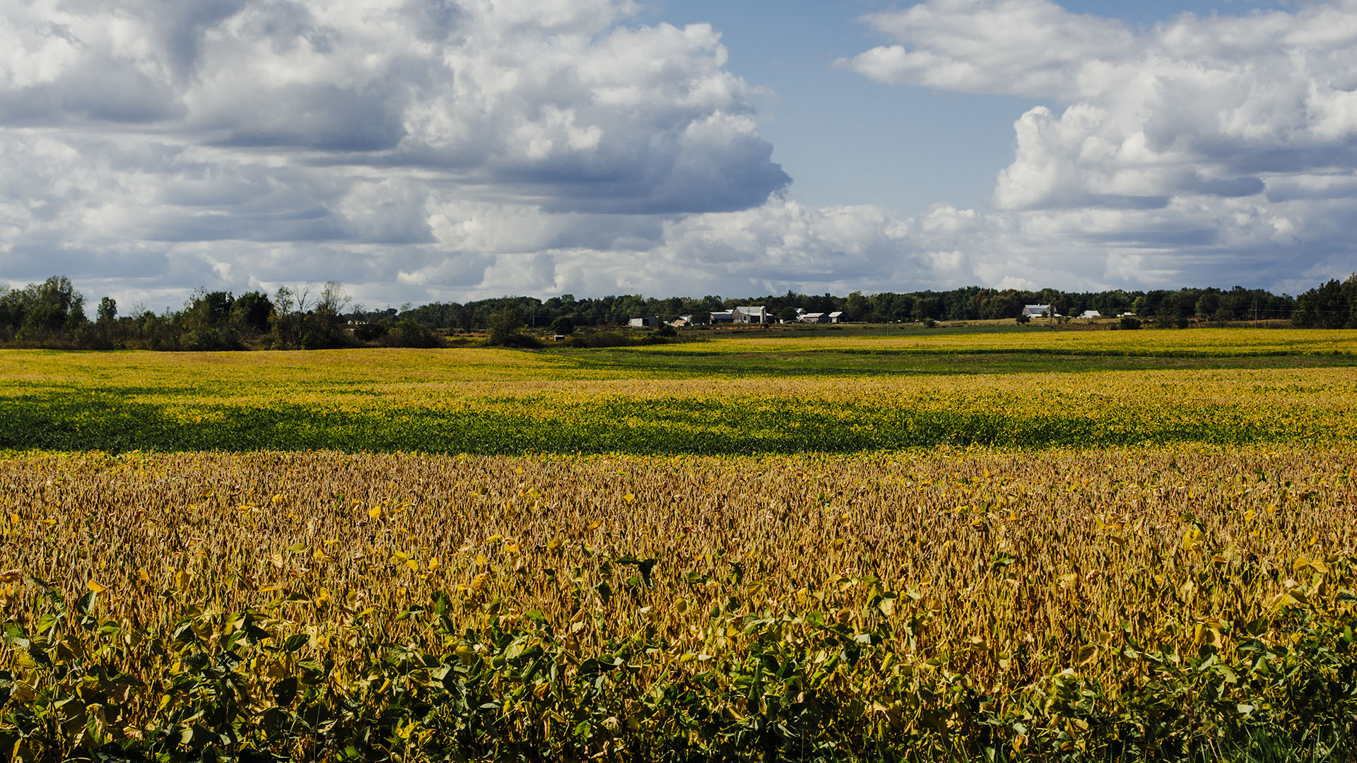 Michigan | America's Heartland