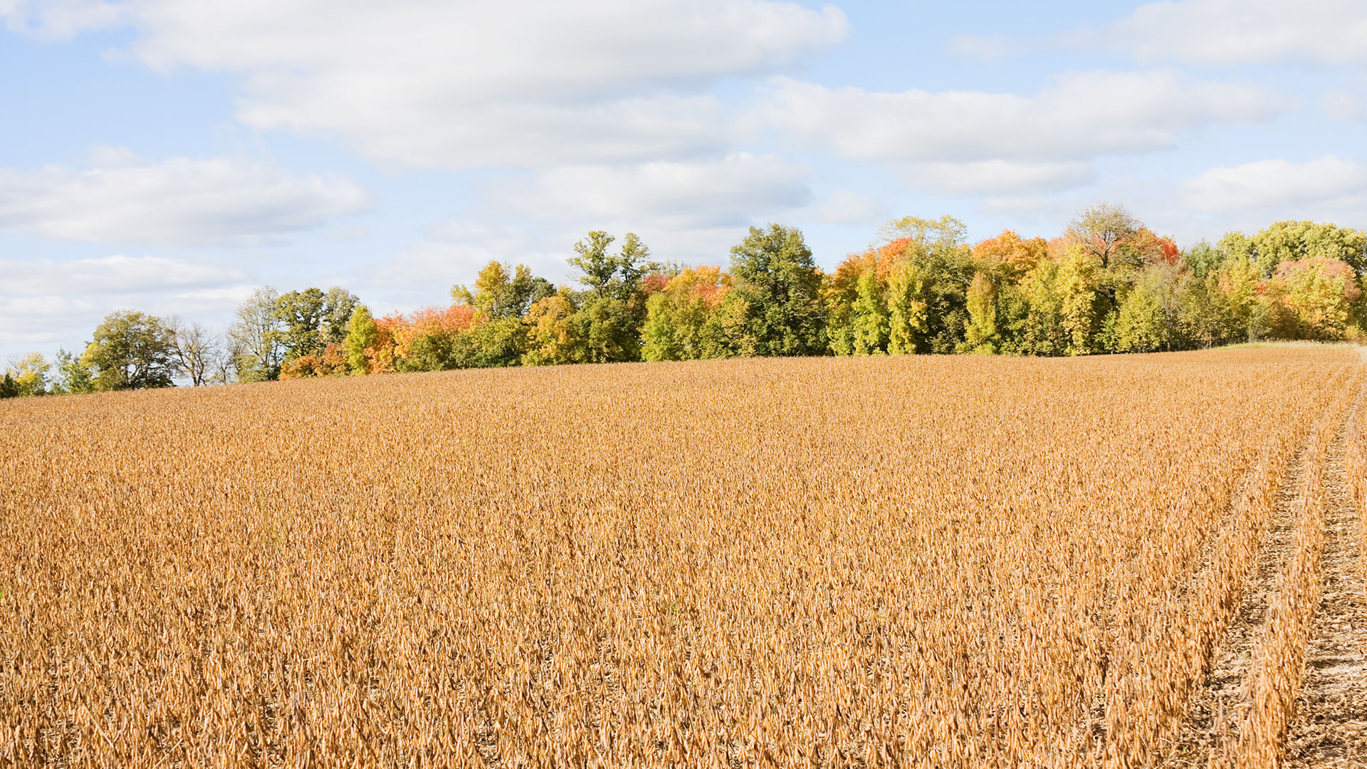 Minnesota | America's Heartland