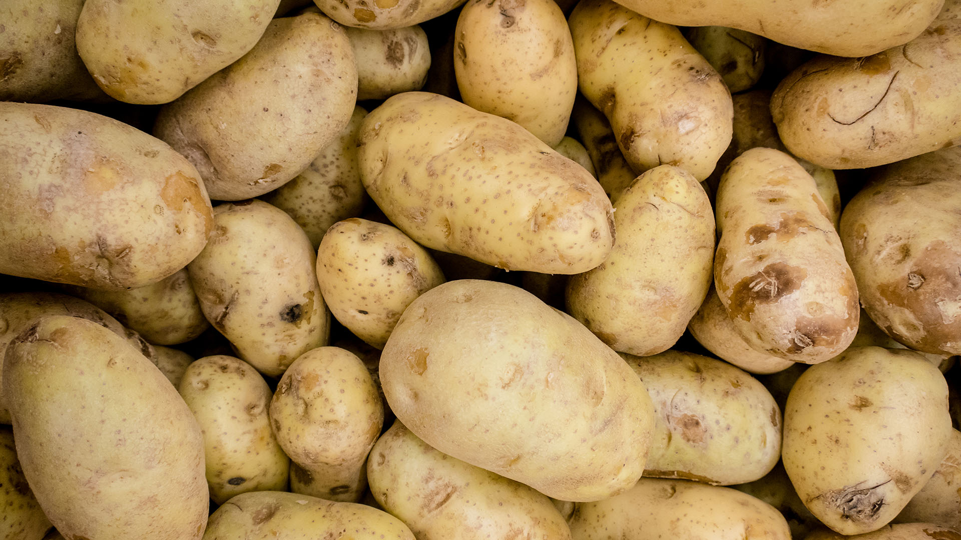 Ohio | America's Heartland