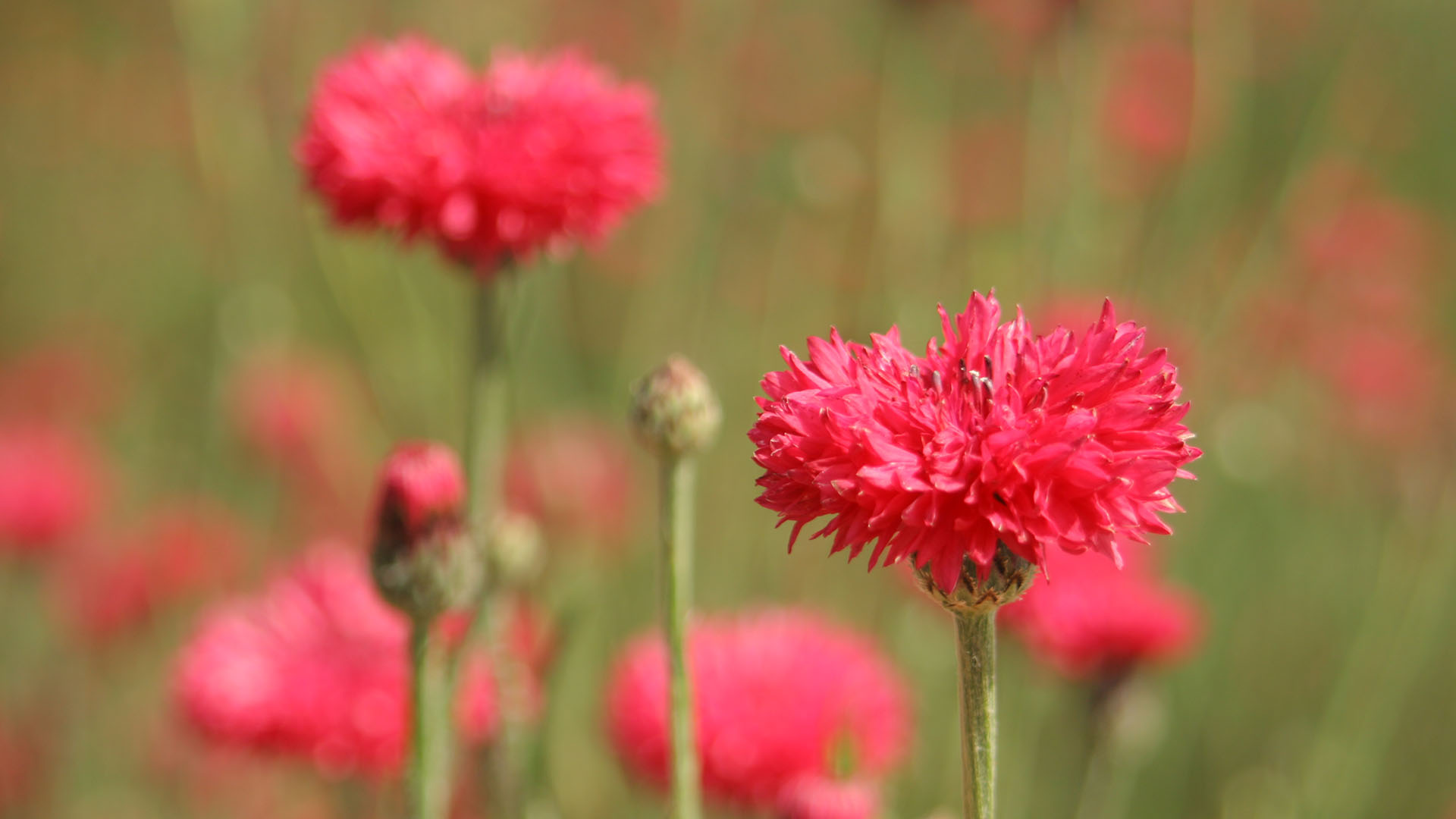 Oregon | America's Heartland