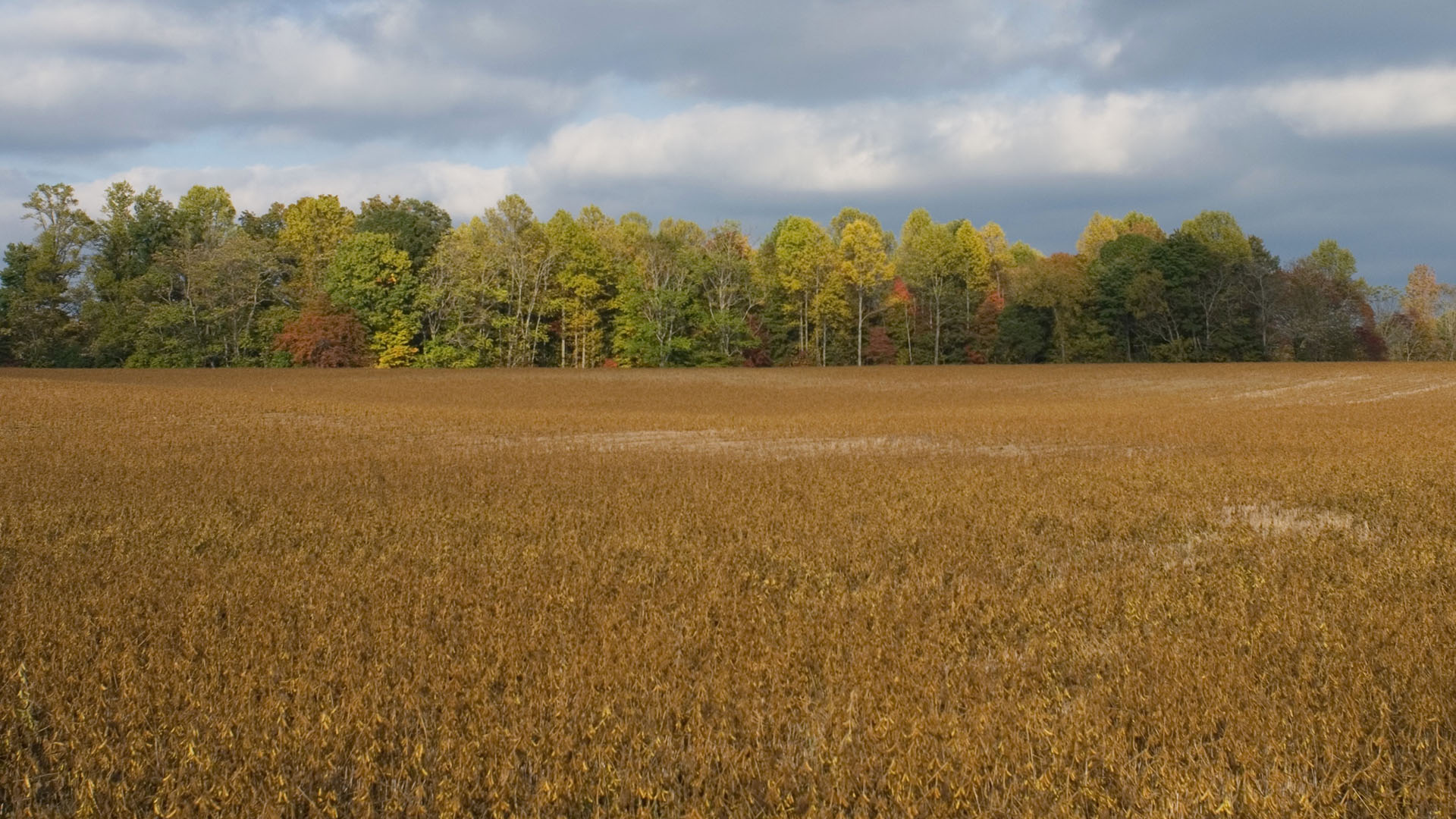 Tennessee | America's Heartland