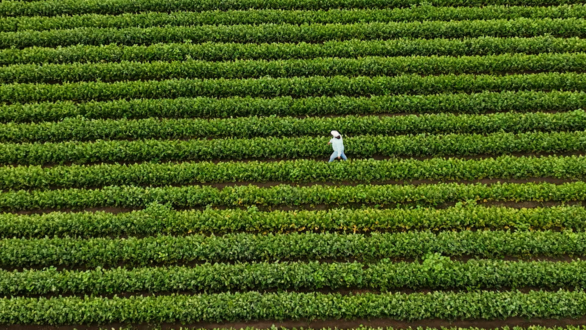 Explore American Agriculture | America's Heartland